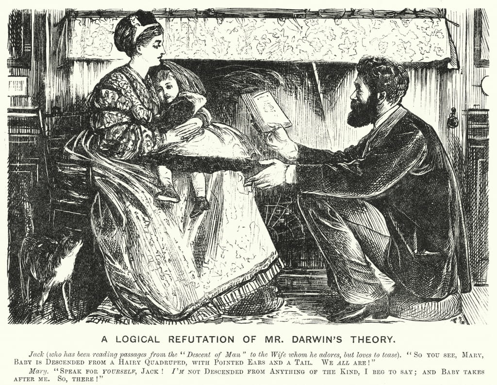 Punch cartoon: A Logical Refutation of Mr Darwin's Theory (engraving)
