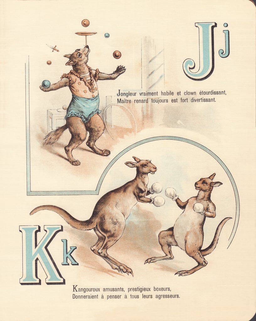 Kangaroo Kickboxing