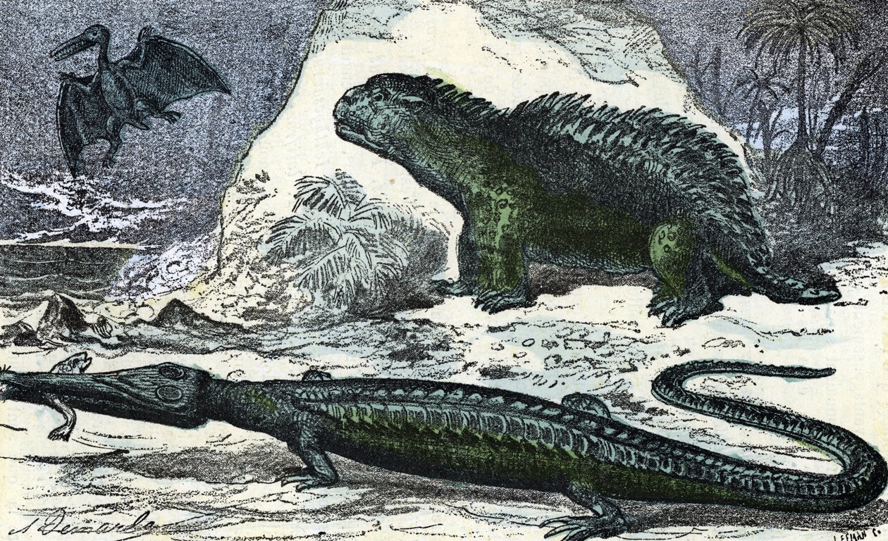 Prehistory: representation of a teleosaur and a hyleosaur from the ...