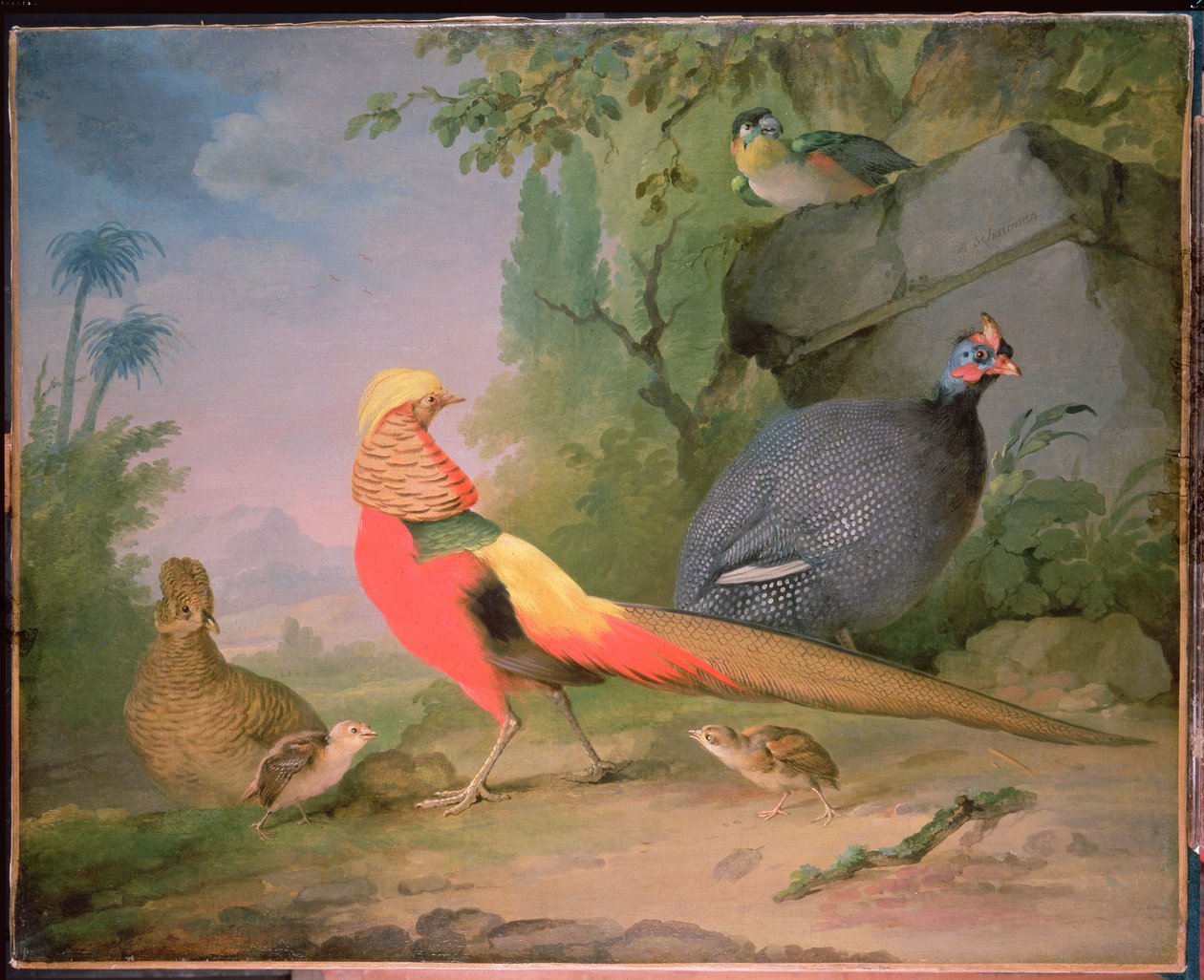 Wild Fowl by Aert Schouman: Highest-quality art reproduction