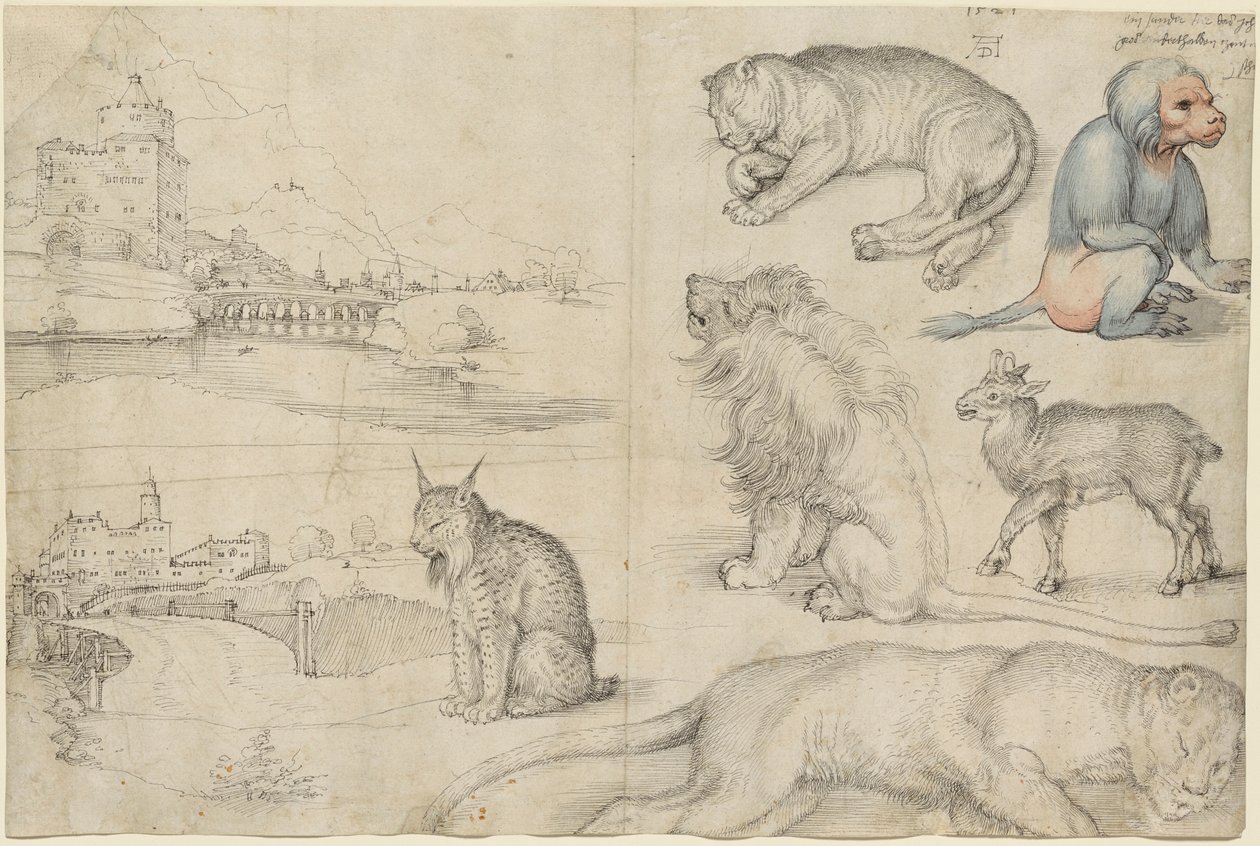 Sketches of Animals and Landscapes by Albrecht Dürer