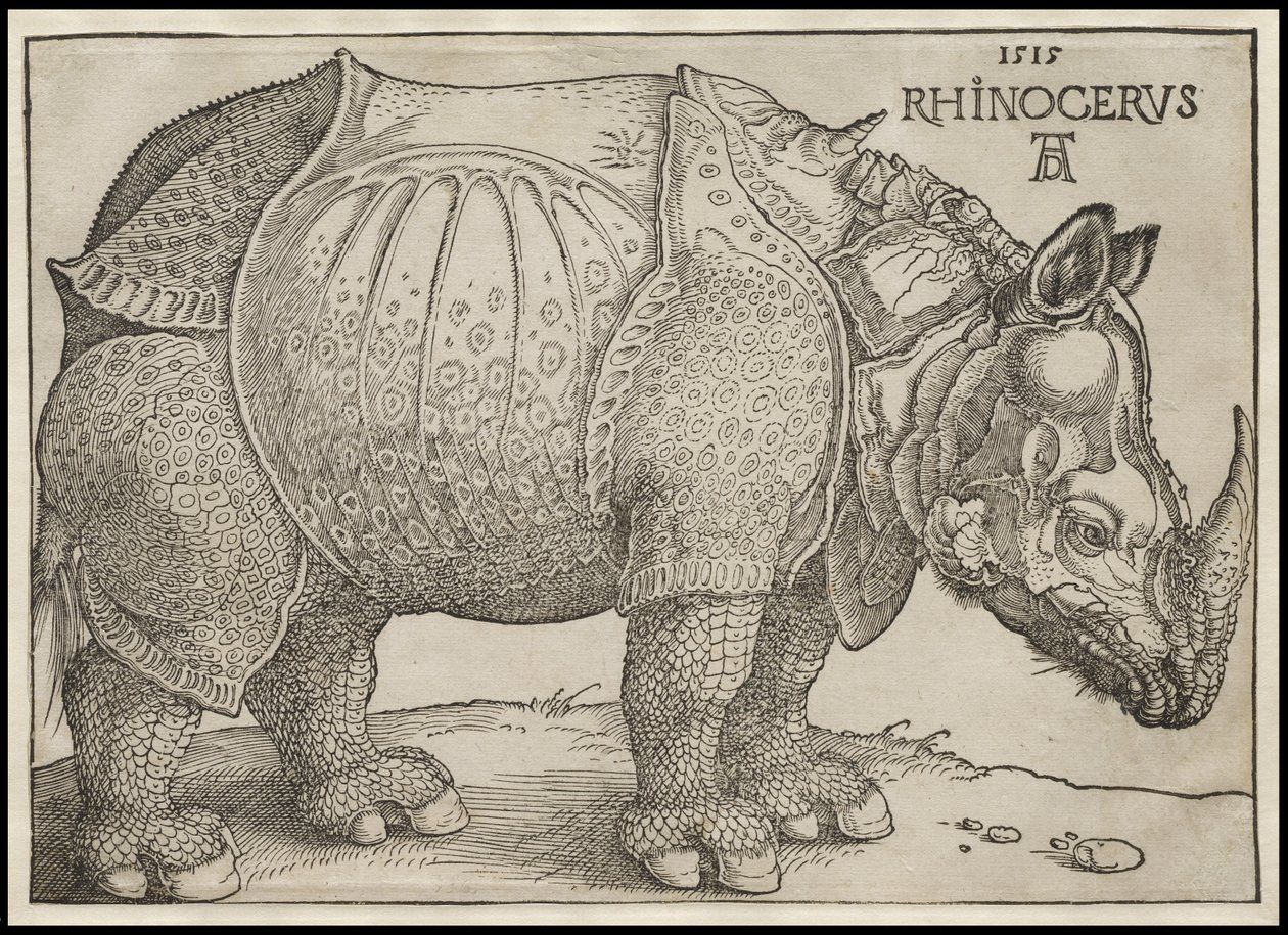 The Rhinoceros by Albrecht Dürer: Buy fine art print