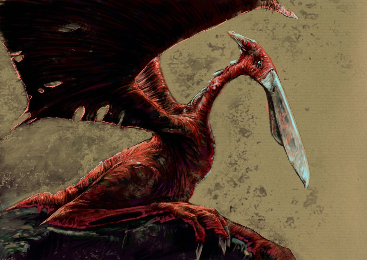 Kongamato Creature (Illustration) by Alessandro Lonati