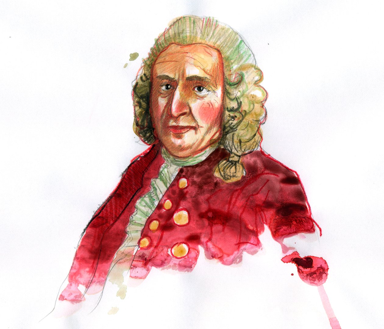 Portrait of Carl Linnaeus by Alessandro Lonati