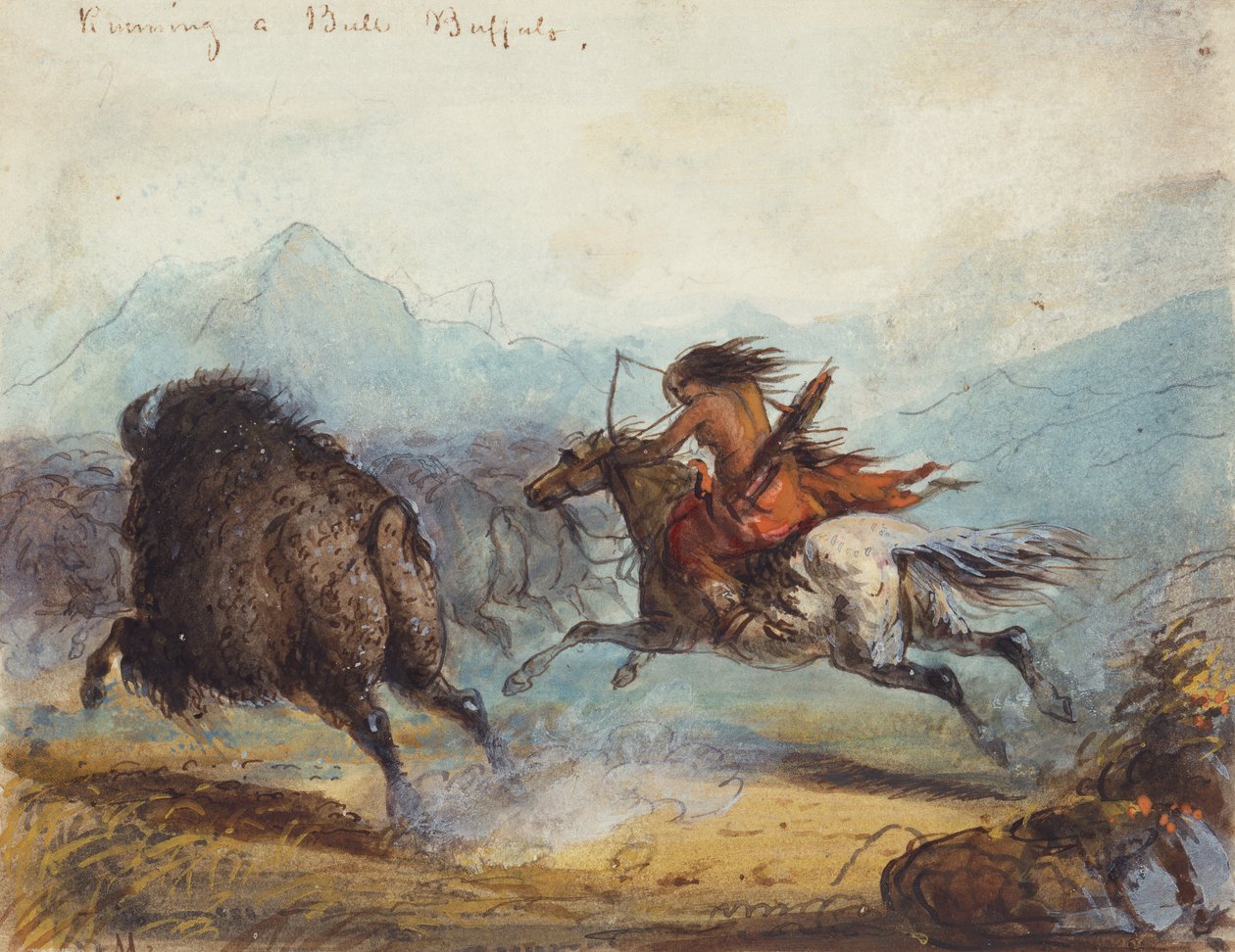 Indian Female Running a Buffalo by Alfred Jacob Miller