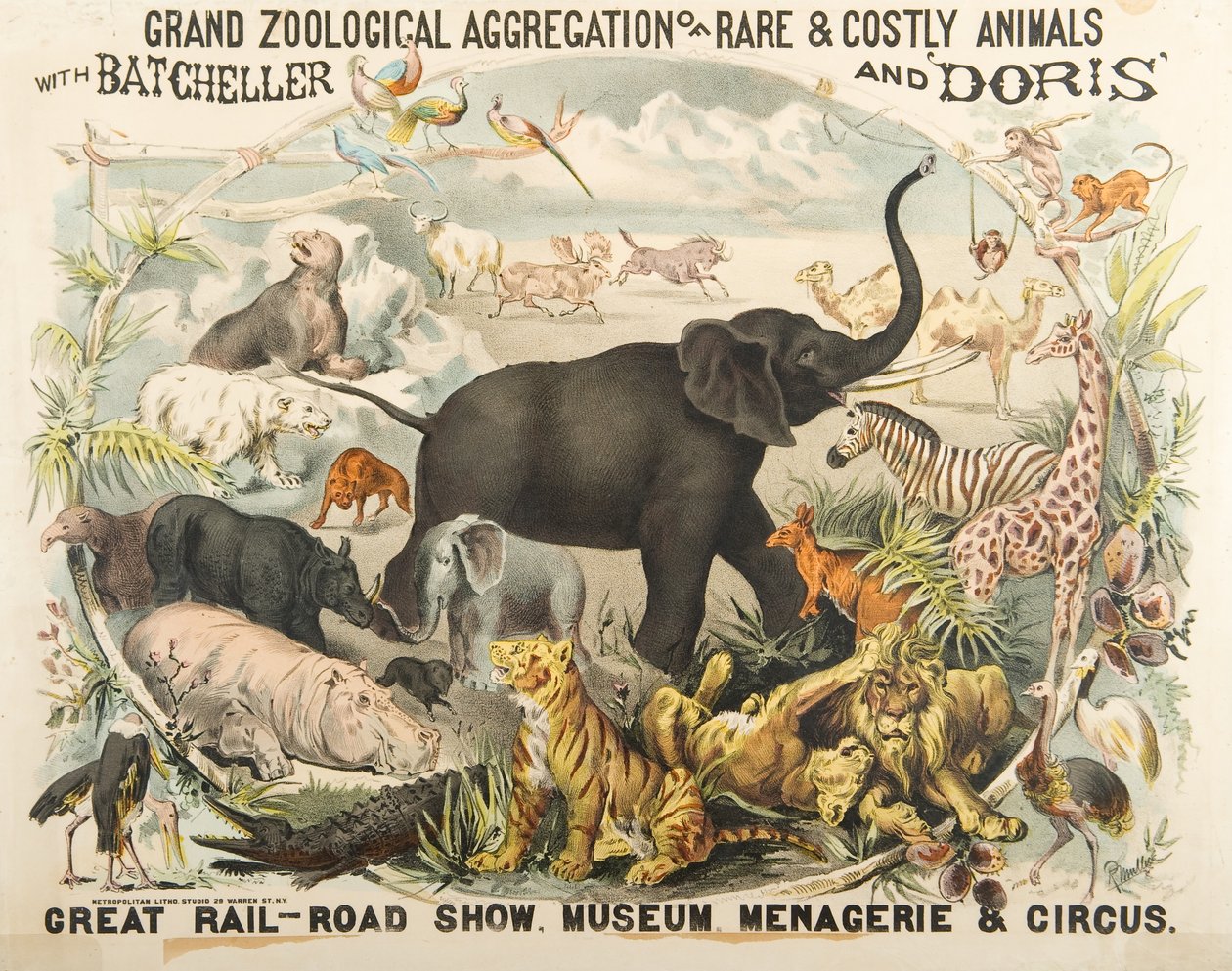 Grand Zoological Aggregation of Rare and Costly Animals with Batcheller ...