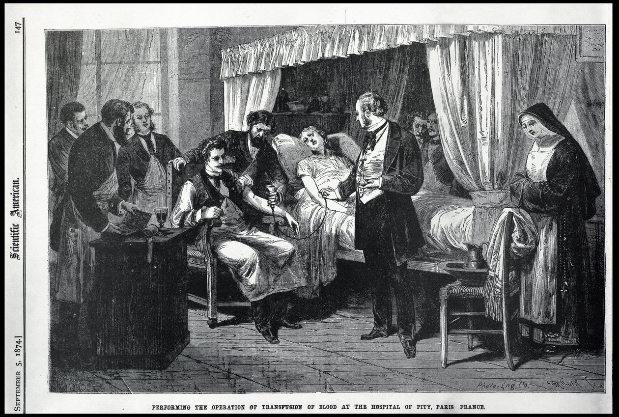 Performing the Operation of the Transfusion of Blood at the Hospital of ...