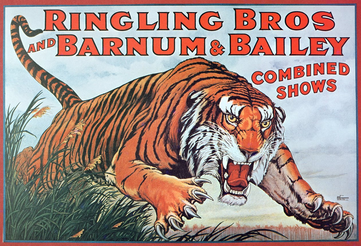 Ringling Bros Barnum And Bailey Ringling Bros. Circus Giraffe