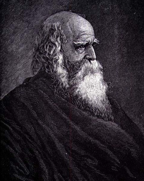 William Cullen Bryant by American School: Fine art print