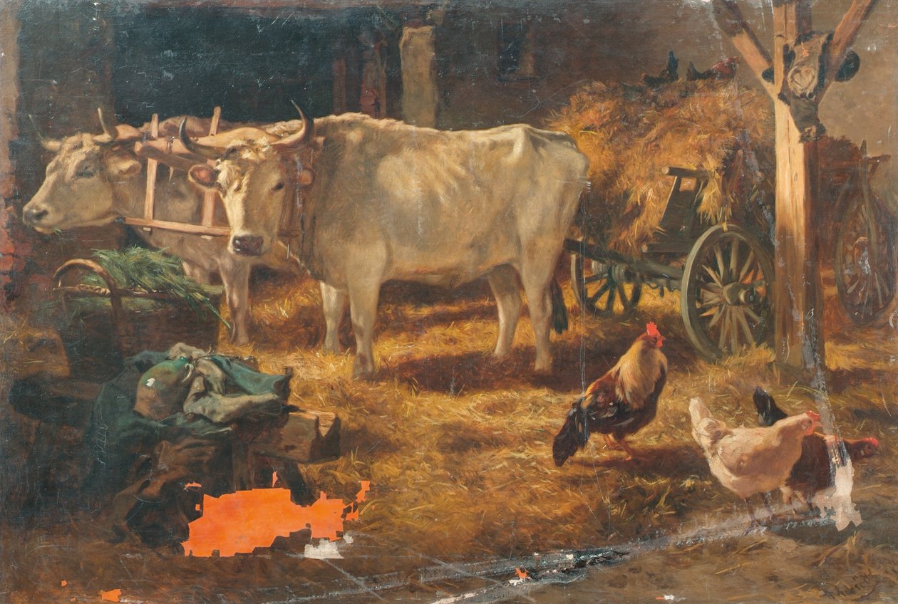 Oxen in the Stable by Anton Schrodl: Buy fine art prints