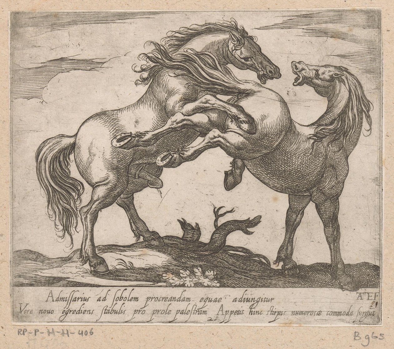 Two Mating Horses (Horses from Different Countries)