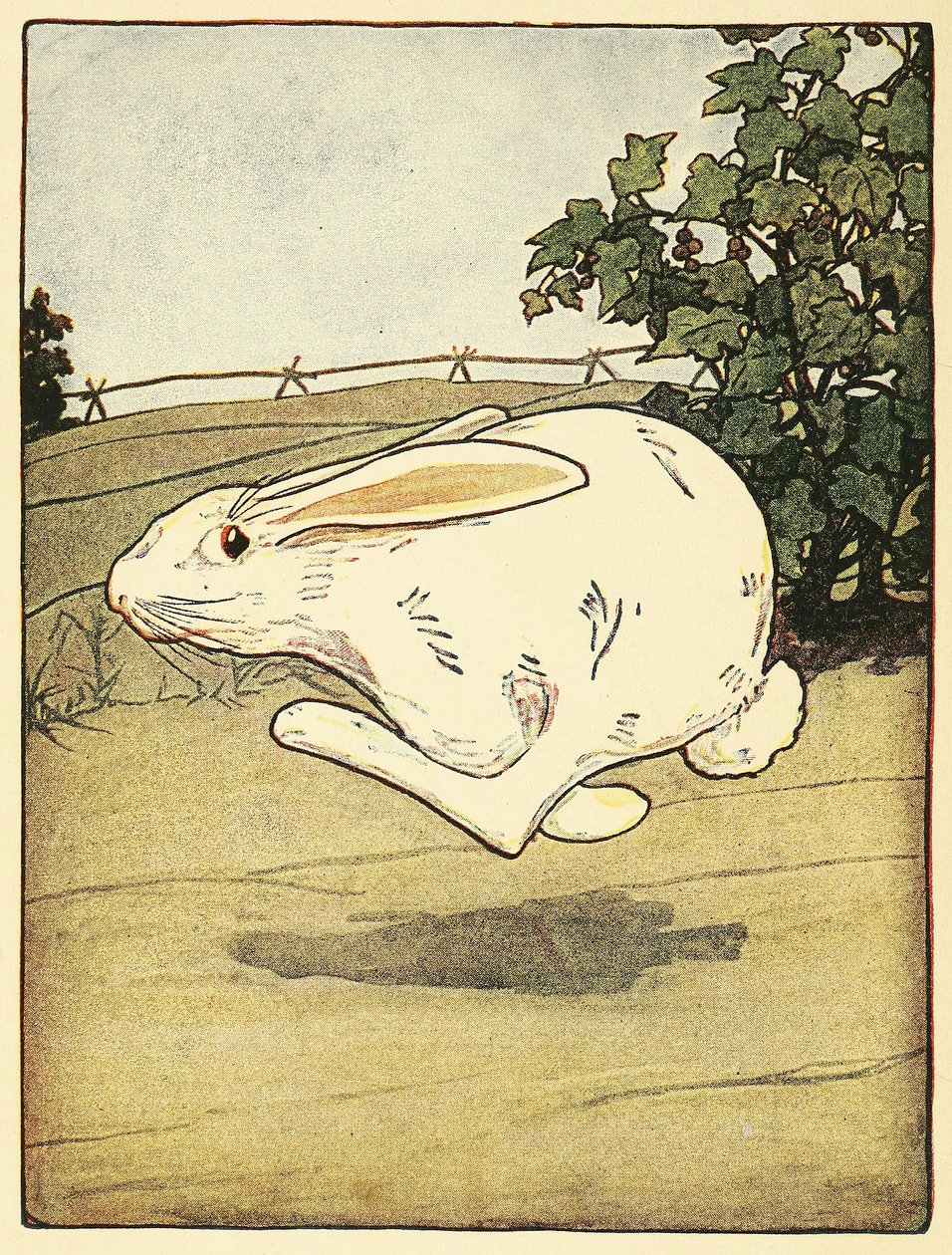 Peter never stopped running (from The Tale of Peter Rabbit, pub. 1916)