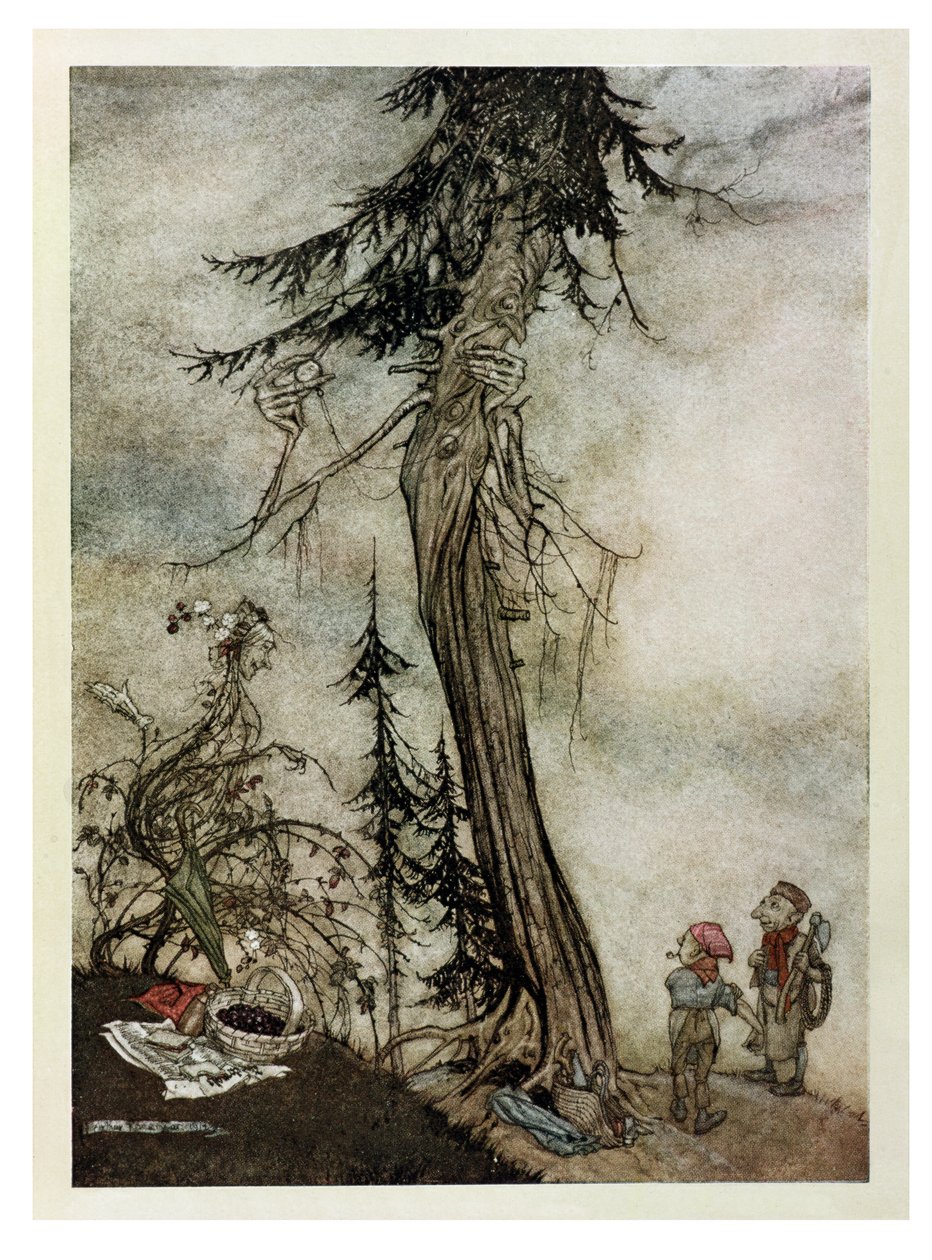 The Fir-Tree and the Bramble, illustration from 'Aesop's Fables ...