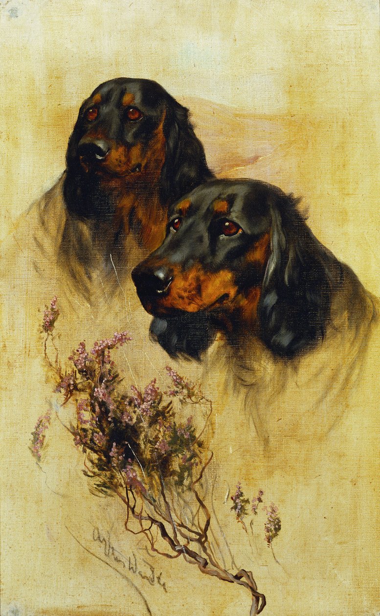 Two Gordon Setters by Arthur Wardle: Buy fine art prints