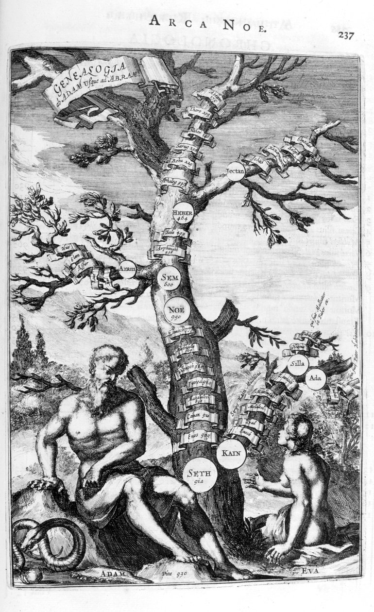 Genealogy Tree of Adam, 1675 by Athanasius Kircher