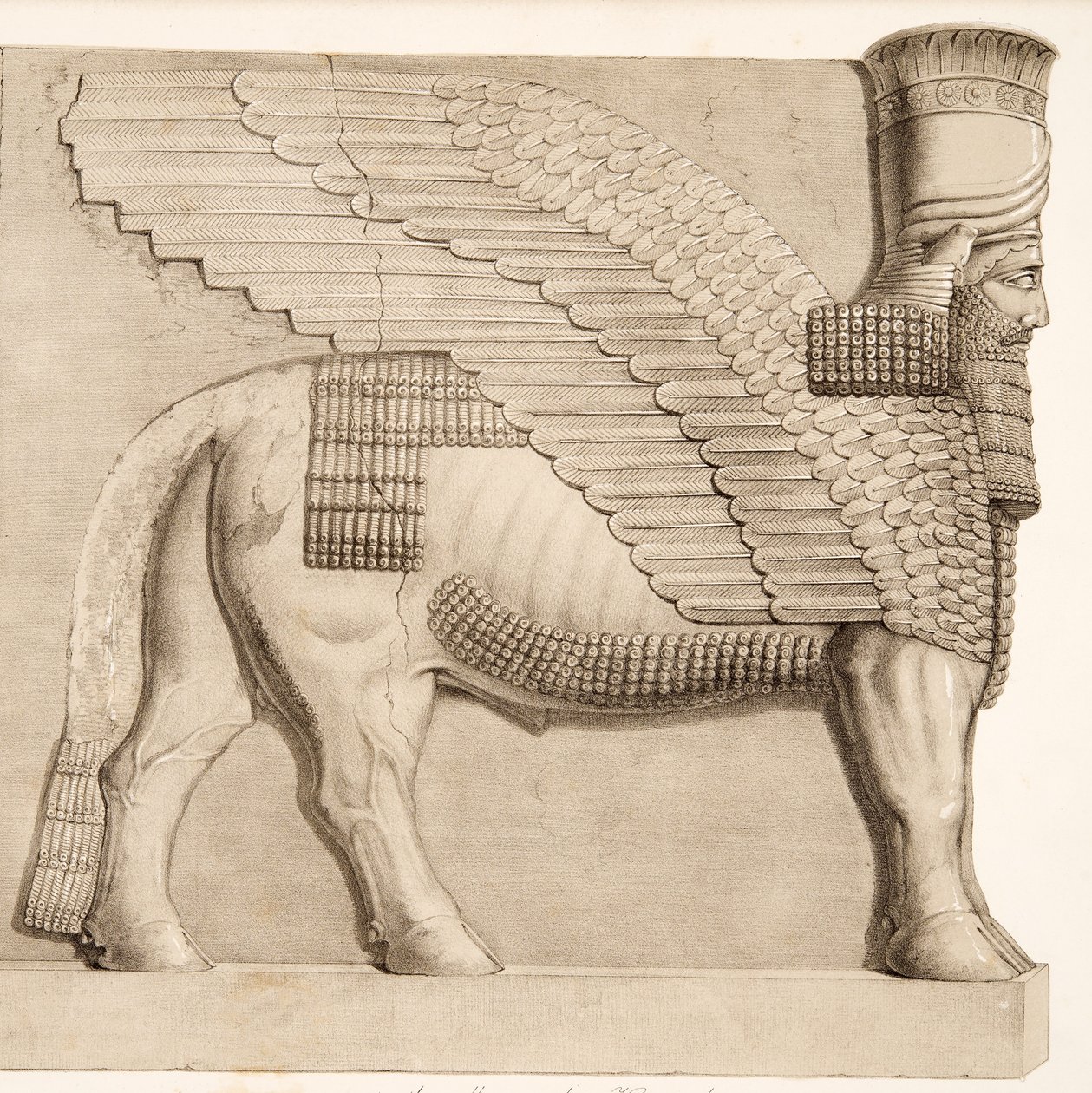 Human headed Bull and winged figure from a gateway in the wall ...
