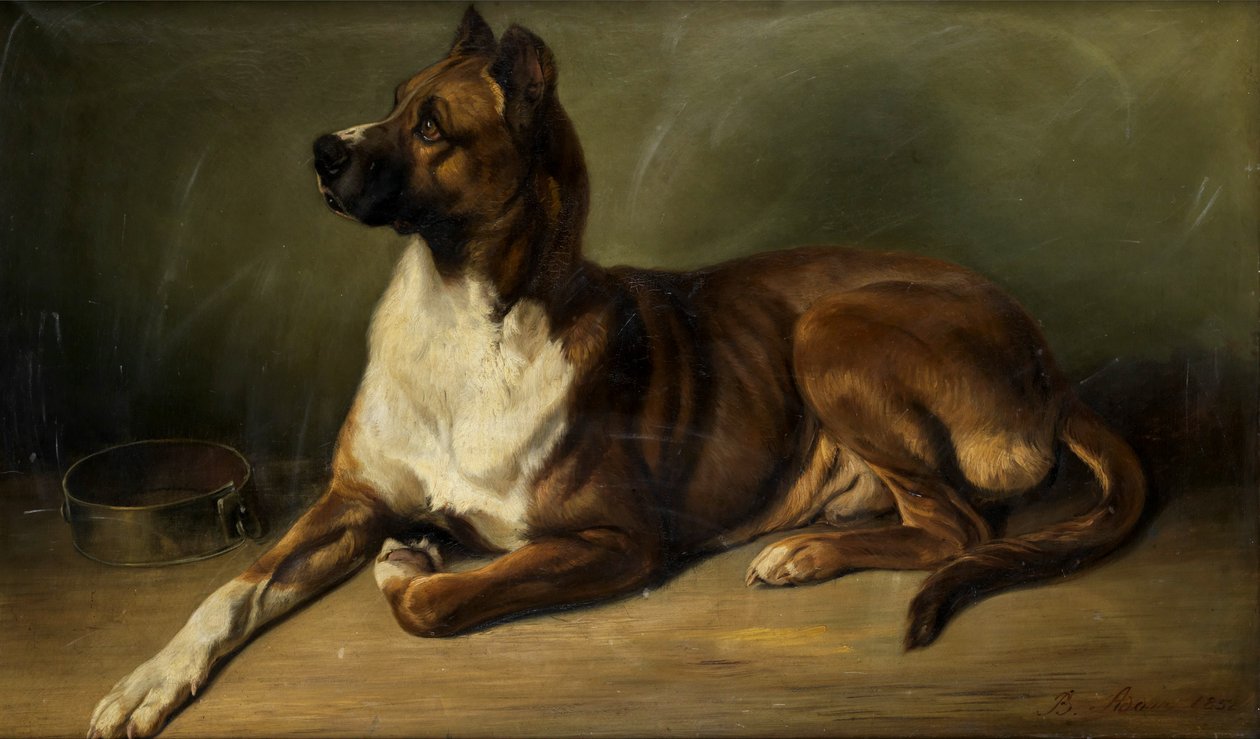 Portrait of a Dog 1852 by Benno Adam: Buy fine art prints