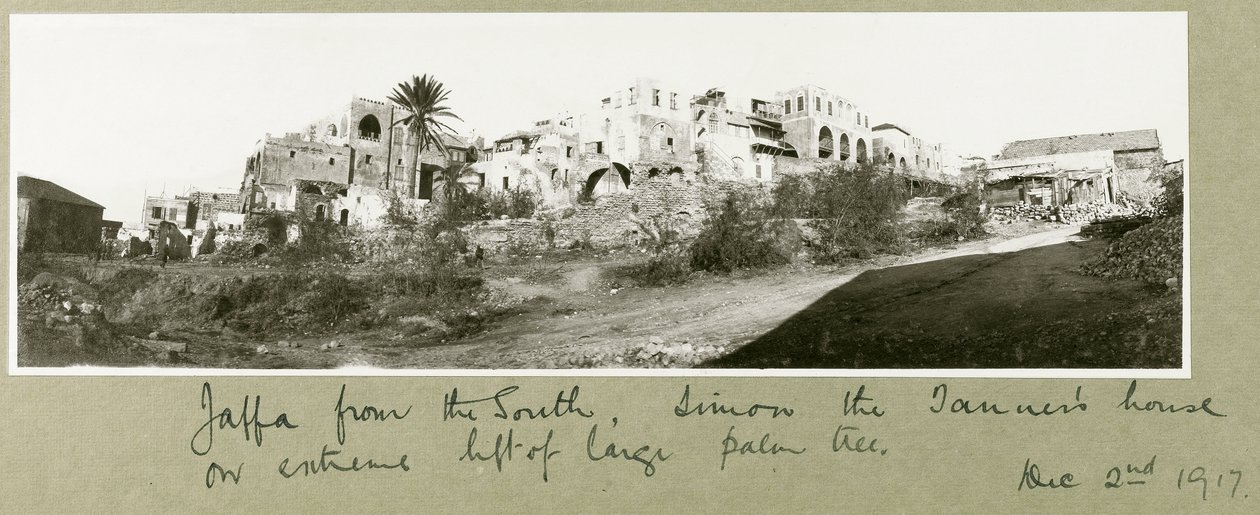 Jaffa from the South, Simon the Tanner's House on the Left of the Palm Tree