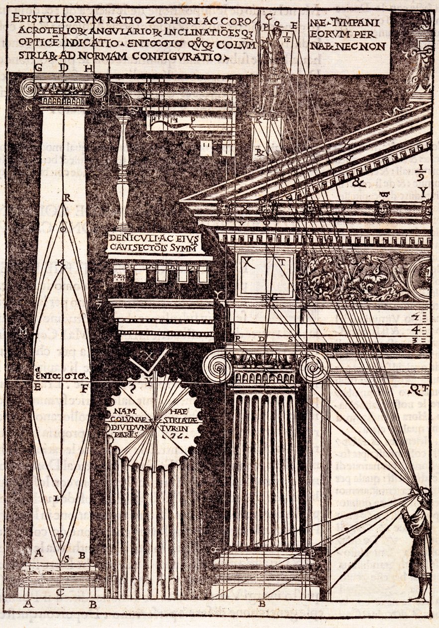 Examples of Classical Proportions, from Di Lucio Vitruvio Pollione de ...