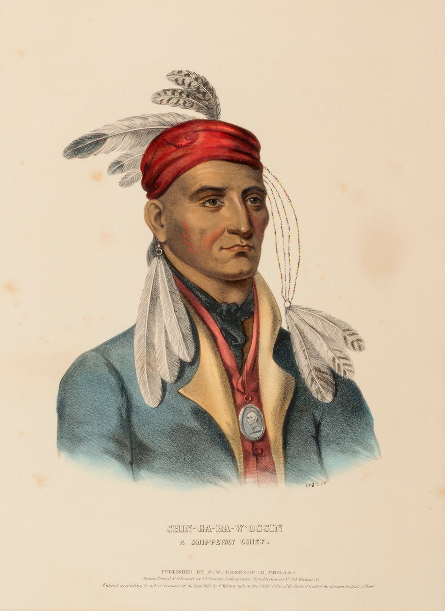 SHIN-GA-BA-W'OSSIN. A CHIPPEWAY CHIEF, from History of the Indian ...