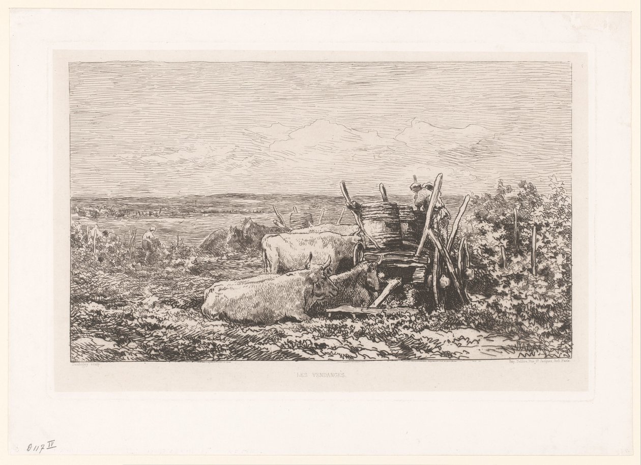 Landscape with Resting Cattle Among Vines