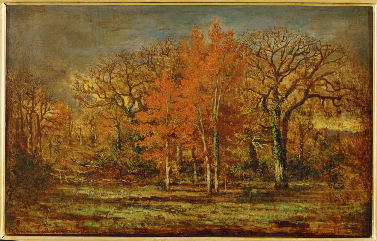 Forest Fringe by Charles Leroux: Buy fine art print