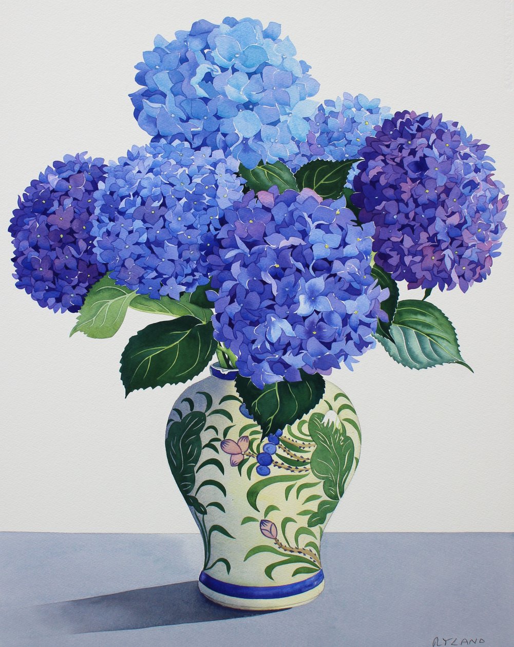 Blue Hydrangeas by Christopher Ryland: Buy fine art print