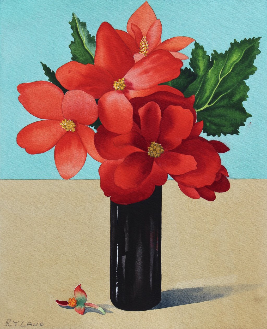 Red Begonias by Christopher Ryland: Buy fine art print
