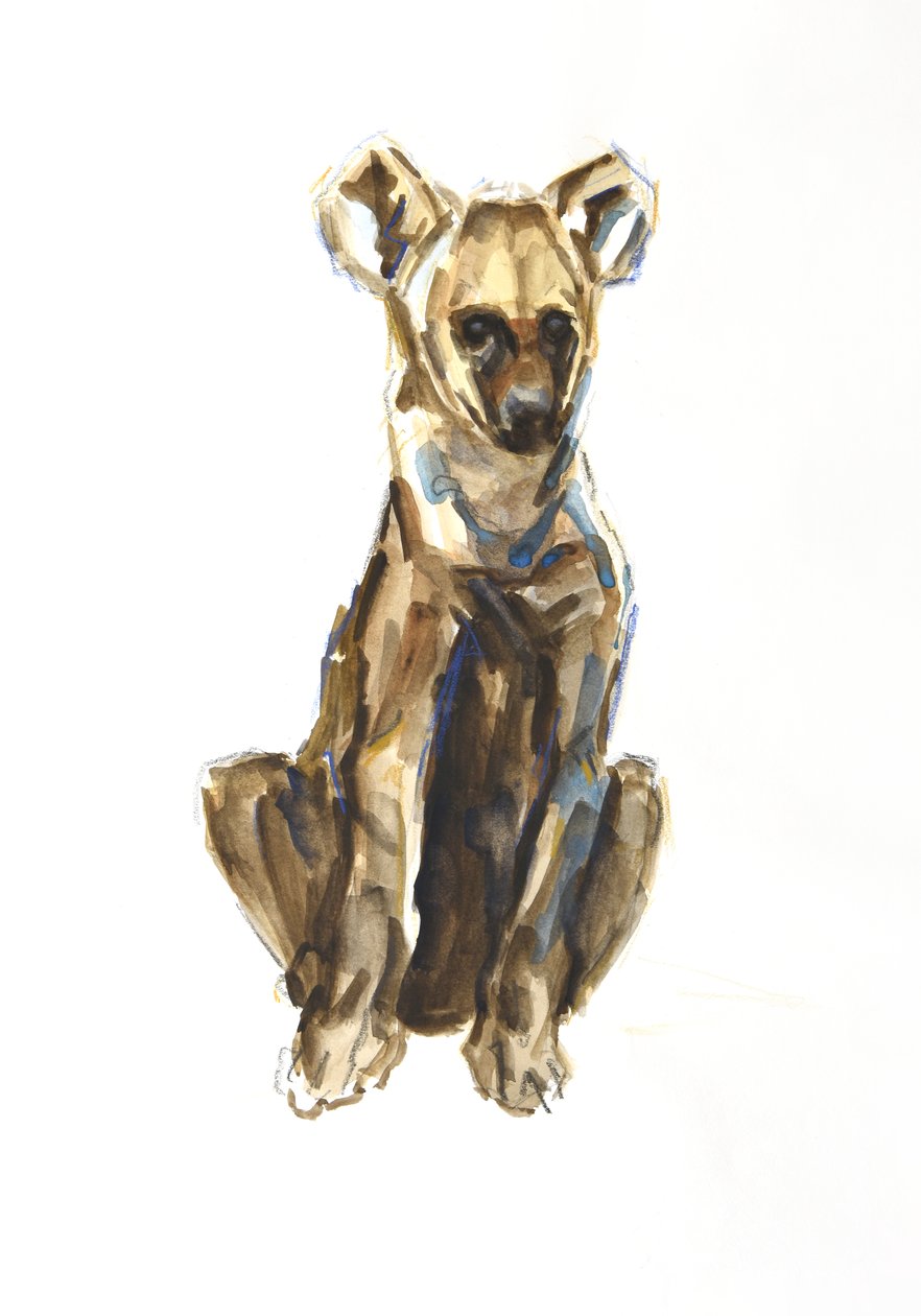 Hyena Pup by David Mayer: Premium art reproduction