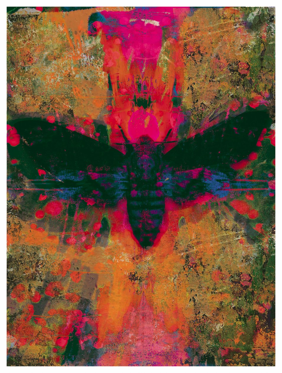 Death Moth Collage by David McConochie: Buy fine art print