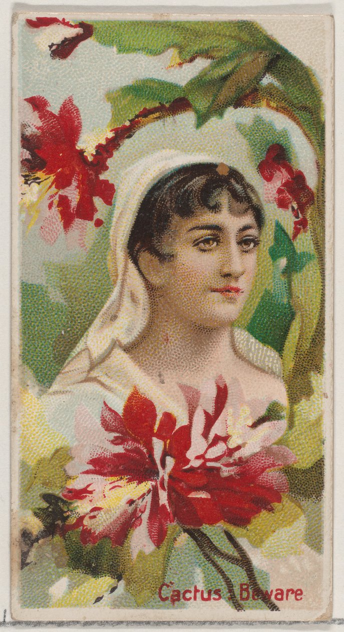 Cactus: Beware, from the series Floral Beauties and Language of Flowers ...