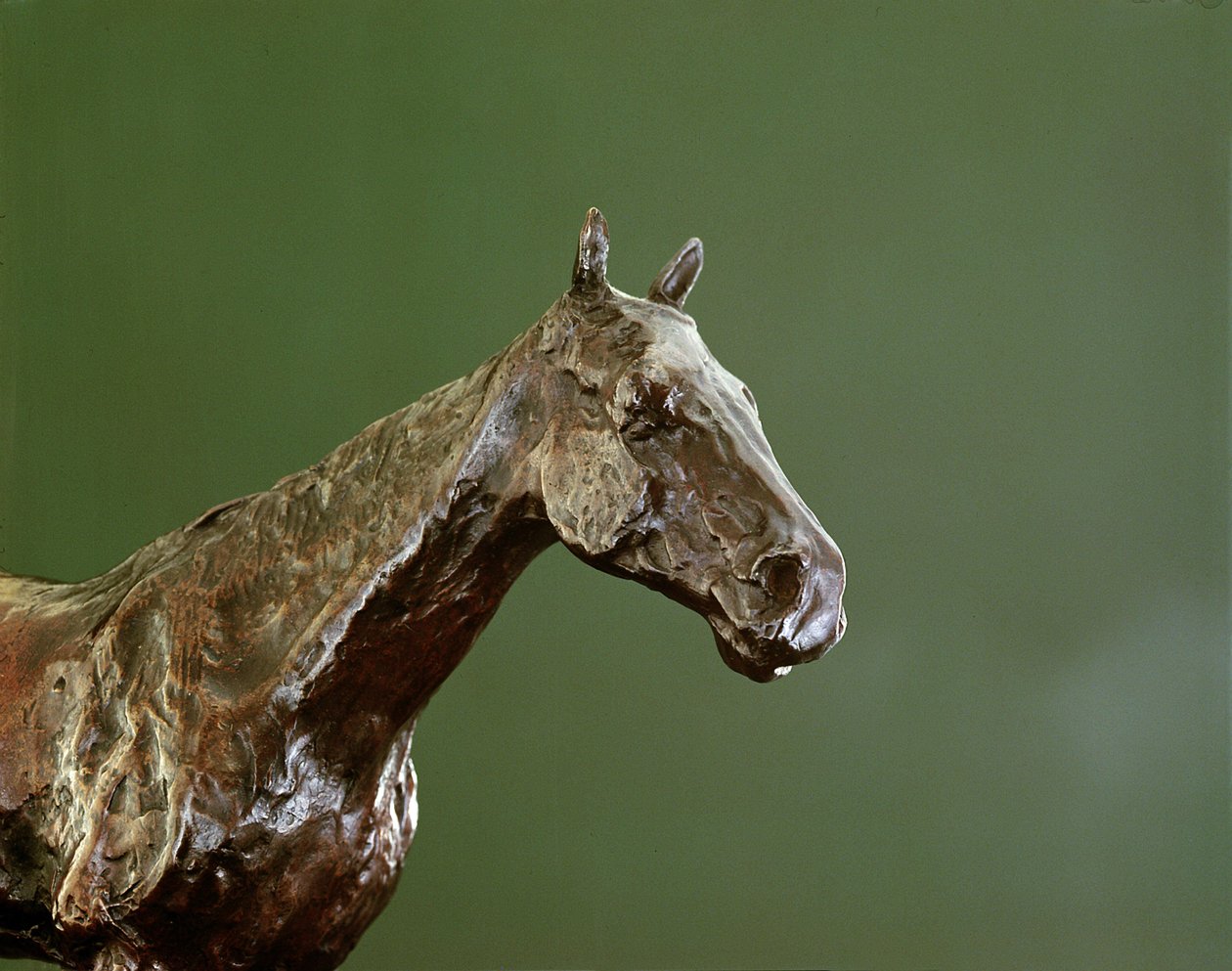 Horse's Head (detail) by Edgar Degas: Buy fine art print