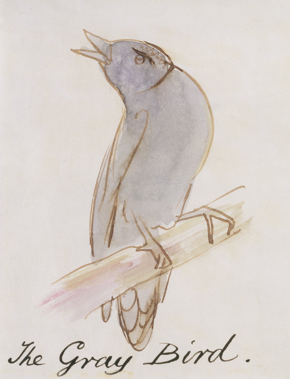 The Gray Bird, from 'Sixteen Drawings of Comic Birds'