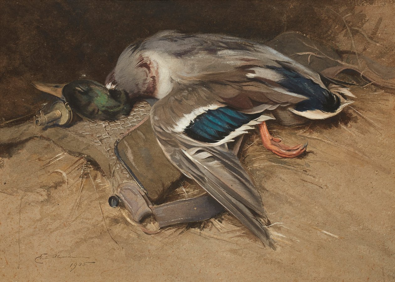 Mallard's Drake by Edwin John Alexander: Buy fine art prints
