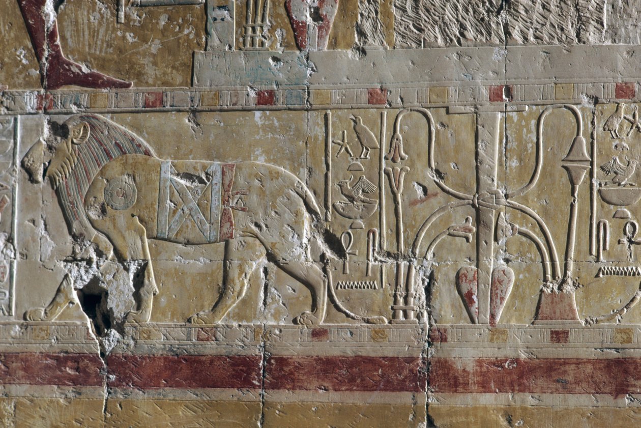 Lion, Relief, Mortuary Temple of Hatshepsut, Deir el-Bahari, Theban ...