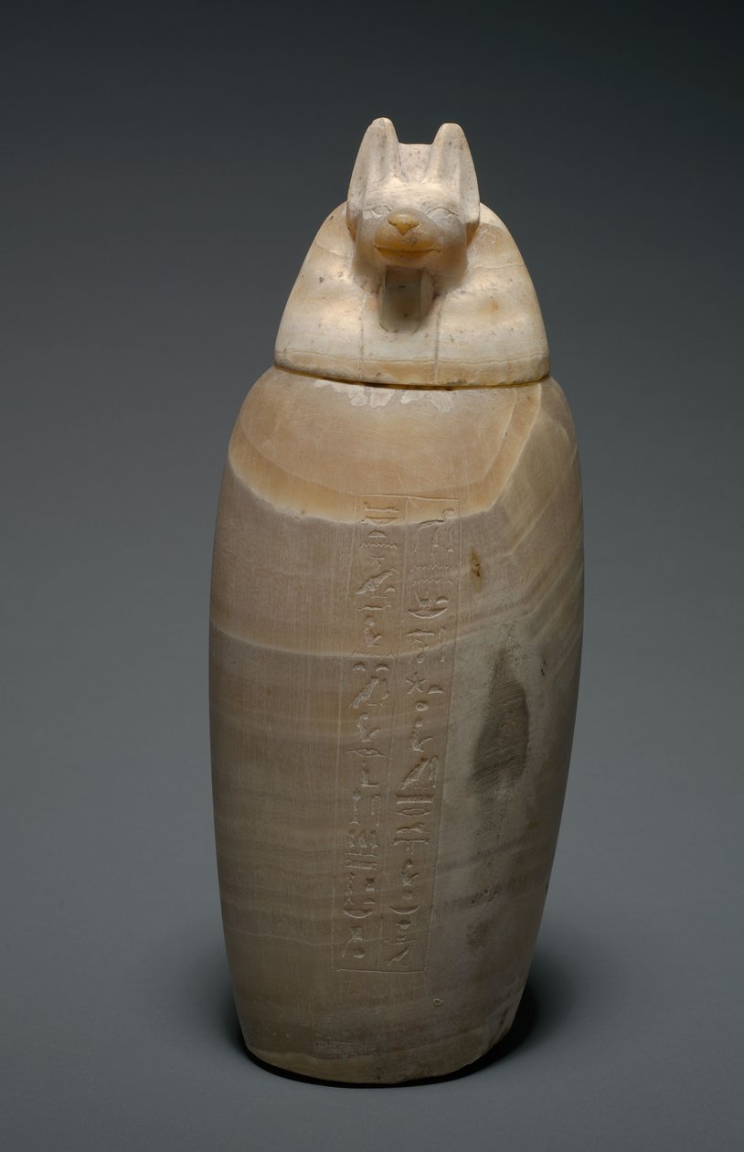 Canopic Jar with Jackal's Head by Egyptian 26th Dynasty
