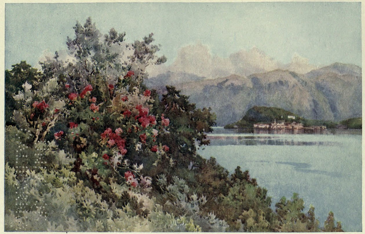 Roses, Villa Carlotta, Lago di Como, Illustration from 'The Italian ...
