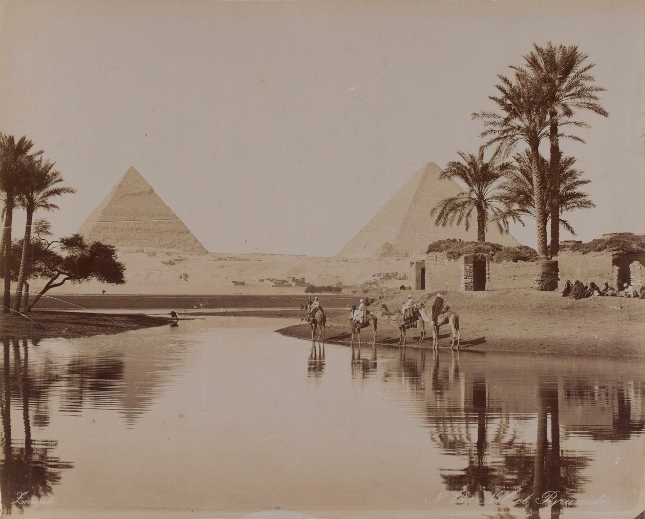 View of the Pyramids, Egypt, 1893 by English Photographer