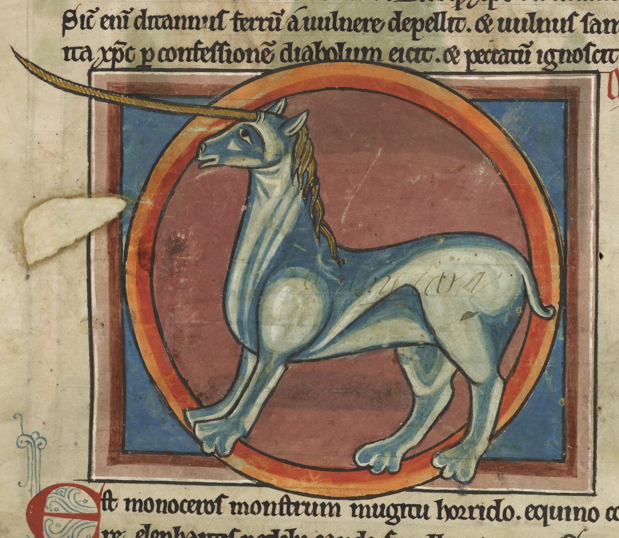 Monoceros with a large horn, from a 'Bestiary'