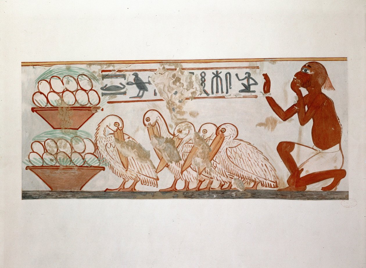 Trapper with Pelicans by Erich Lessing: Buy fine art print