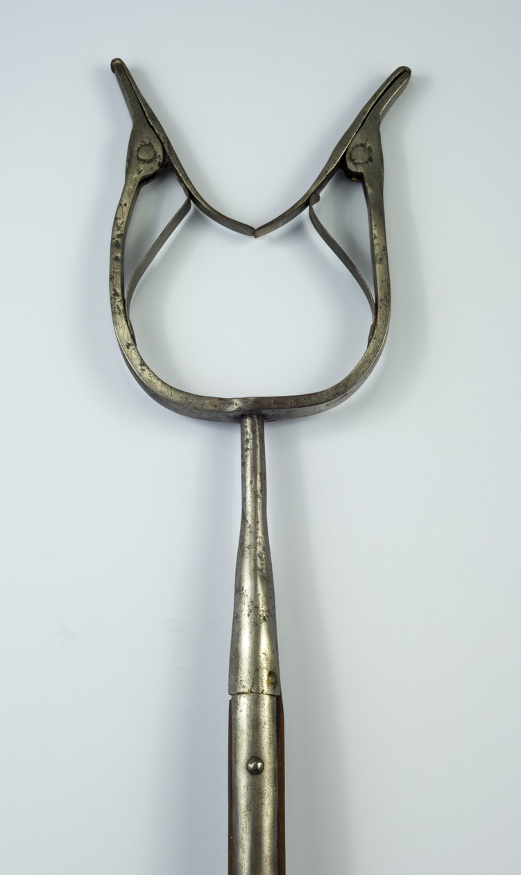 Catchpole by European School: Buy fine art print