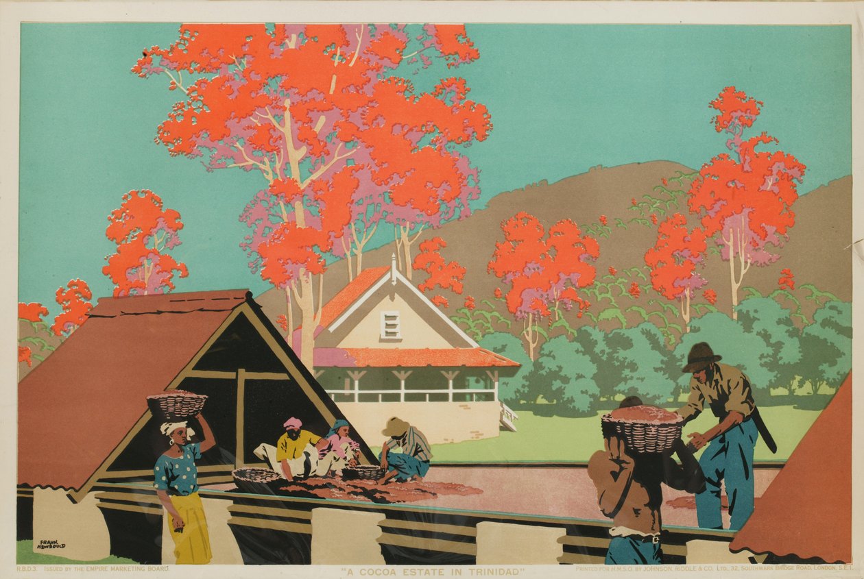 A Cocoa Estate in Trinidad by Frank Newbould