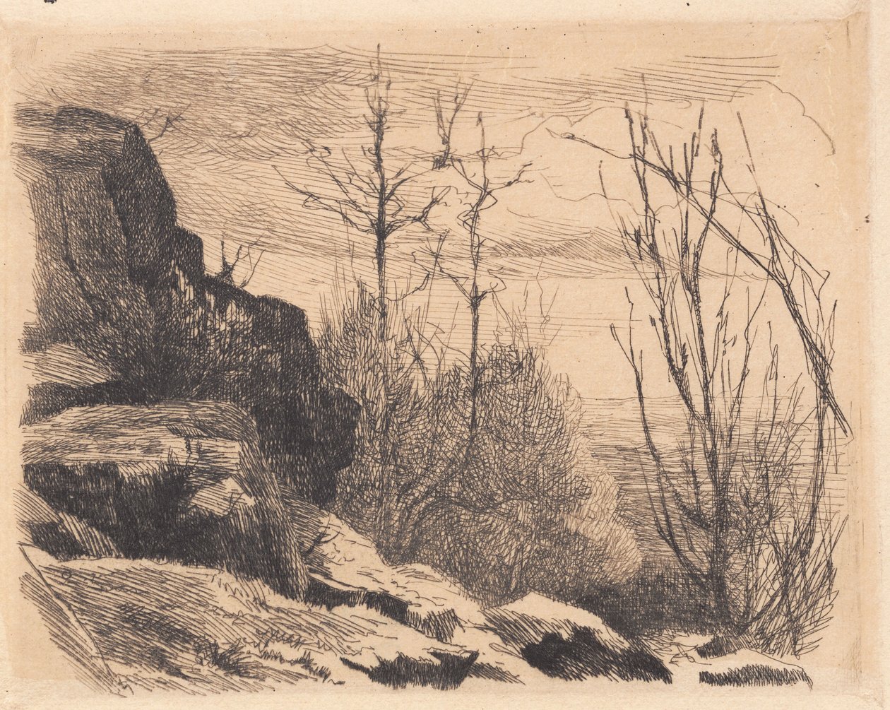Test Plate: Landscape with Rocks and Trees by Frans Schwartz