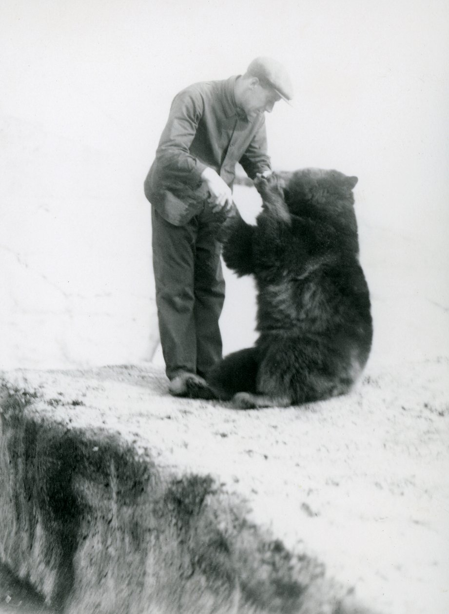 Keeper Charlie Philips Holding Hands with a Sitting Black Bear at ...