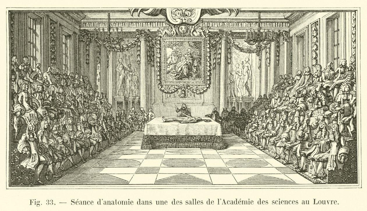 Anatomy session in one of the rooms of the Academy of Sciences at the ...