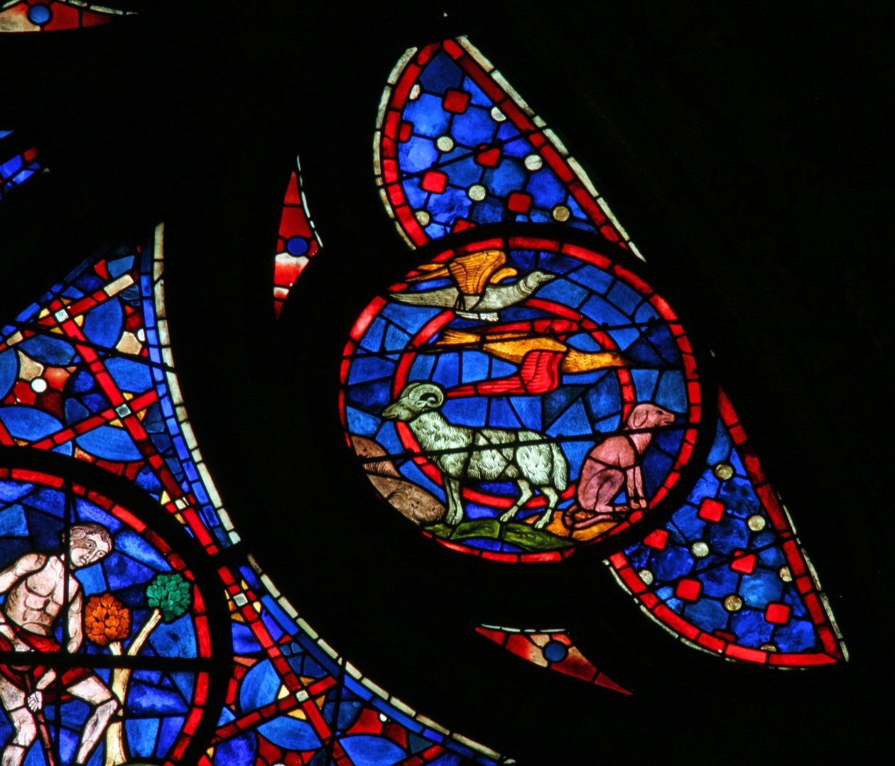 Window w115 depicting the Creation of the birds and animals