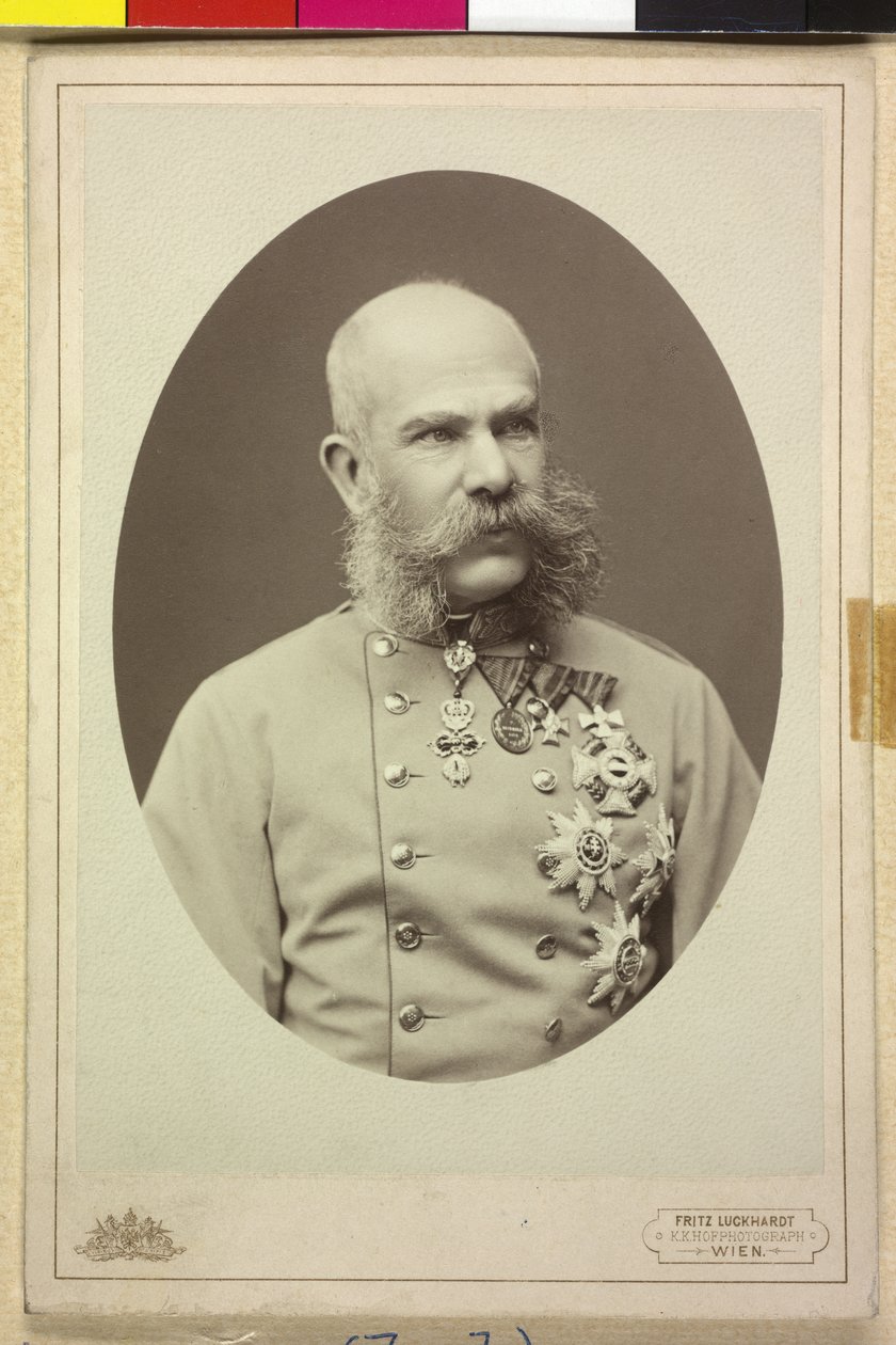 Franz Joseph I by Fritz Luckhardt: Premium art reproduction
