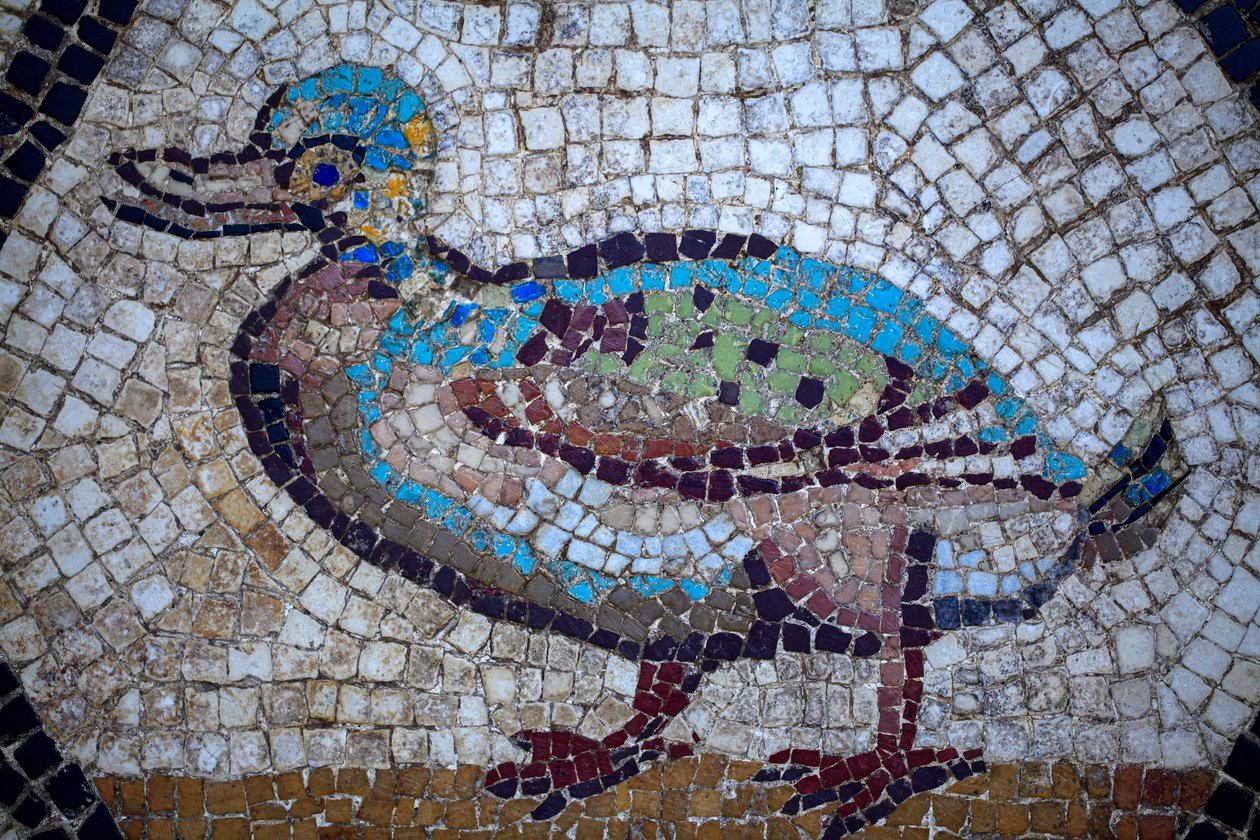 Roman Mosaic by Gallo-Roman Gallo-Roman: Fine art print