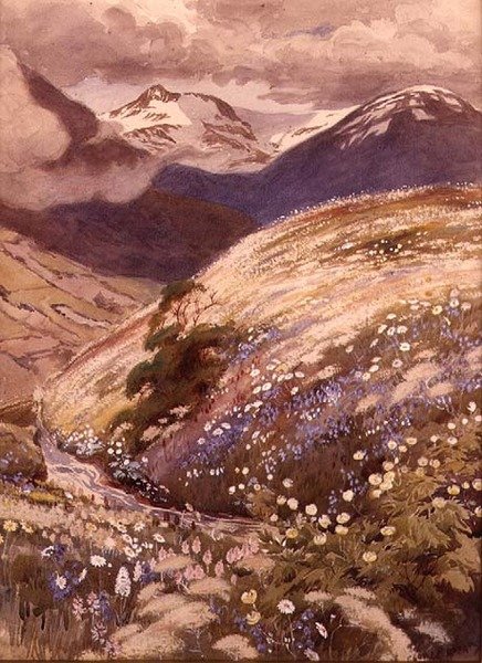 Alpine Flowers by George Soper: Buy fine art print