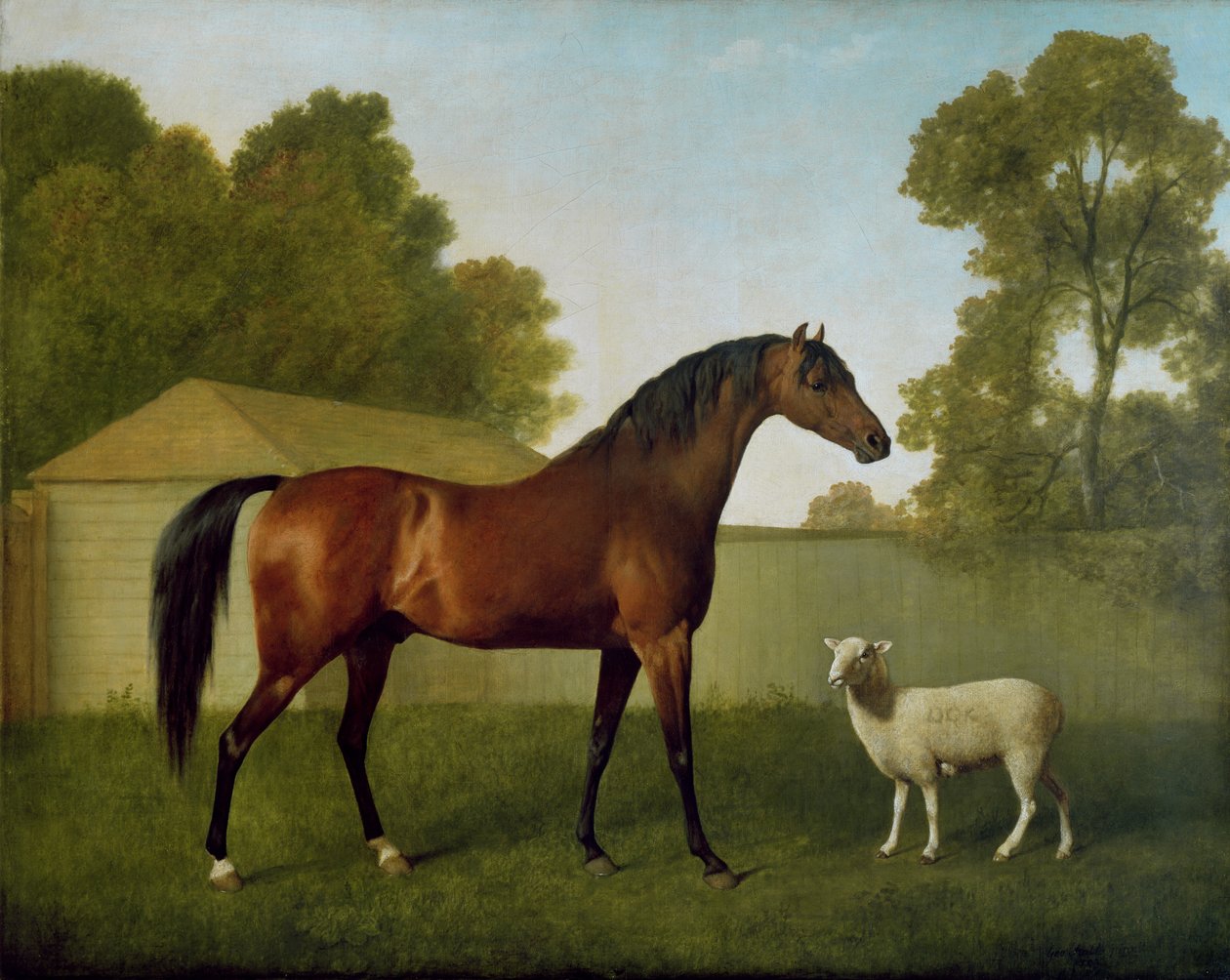 Dungannon, the Property of Colonel O'Kelly, Painted in a Paddock with a ...